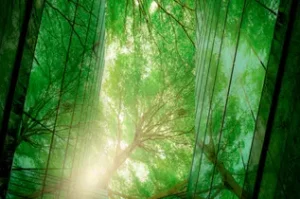 Eviden explores energy advantages in near-term quantum computing ...